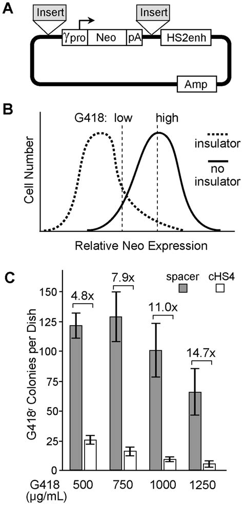 Plasmid Based Colony Assay Is Sensitive To Experimental Parameters A Download Scientific