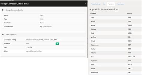 Cant Read Data Through Storage Connectors Jdbc Oracle Db Feature