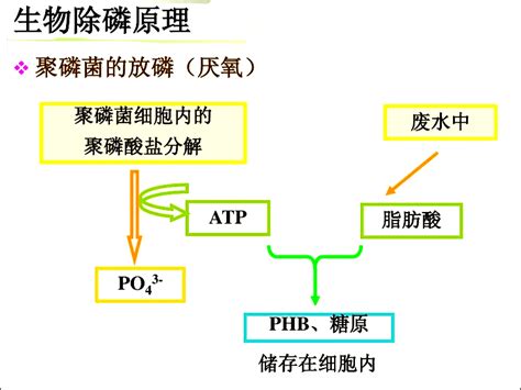 为什么“锁磷剂”除磷后总磷还会反弹