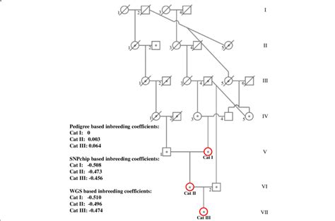 Pedigree And Inbreeding Coefficients The Pedigree Is Showing Close
