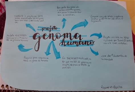Mapas Mentais Sobre Projeto Genoma Study Maps