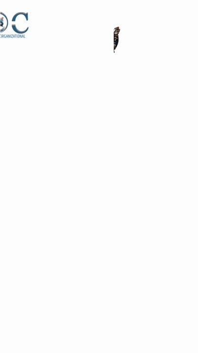 Seneè Shearer Williams On Linkedin Greatly Appreciated 💙