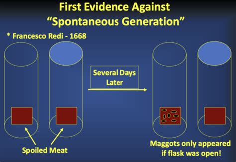 Lecture 3 The Cell Flashcards Quizlet Lecture 3 The Cell Flashcards Quizlet