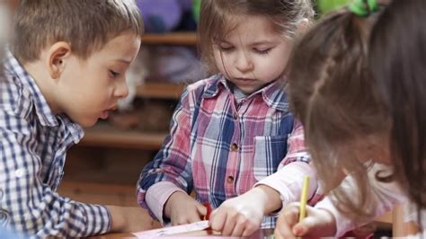 Специалност Предучилищна и начална училищна педагогика Youtube