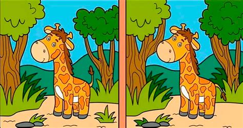 Reto Visual Encuentra Las 8 Diferencias Que Hay Entre Estas Imágenes