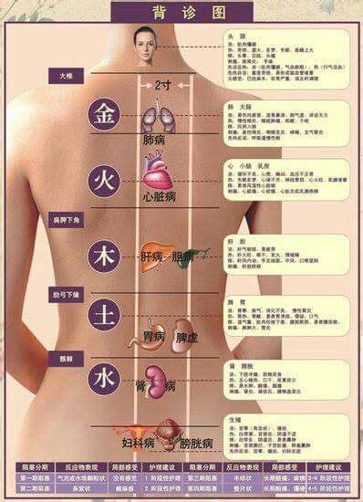 Acupuncture Point Pericardium 6 Pc 6 Artofit