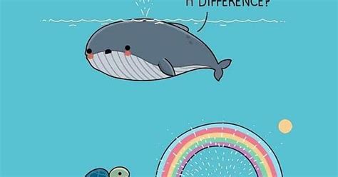 Just Some Random Things Album On Imgur