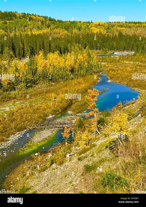 Autumn In Alberta Elbow River Valley Elbow River Seasons Fall Stock