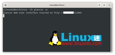 使用 Glances 一目了然监控远程 Linux 系统 Linux迷