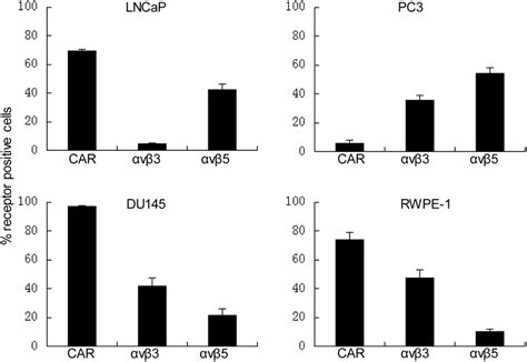 Expression of CAR and integrins αvβ3 and αvβ5 in human prostate cancer