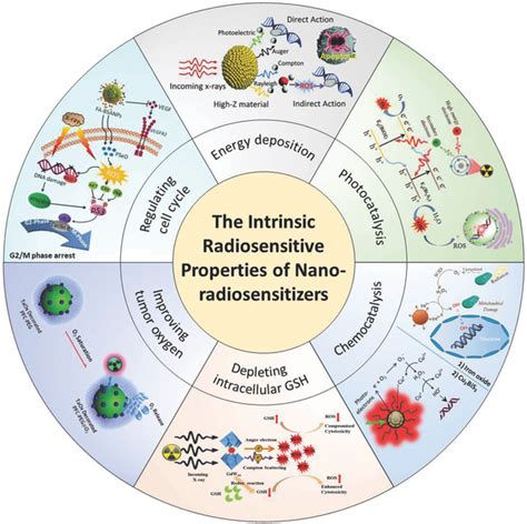 Scheme Of The General Intrinsic Radiosensitive Properties Of Download Scientific Diagram