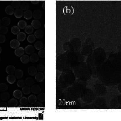 FE SEM And TEM Image Of The Starting Materials A Silica And B Download Scientific