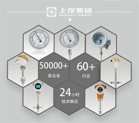 Wss 481万向型双金属温度计上仪集团上海仪表集团公司