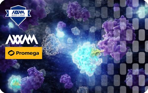 Hts In Search Of Rna Splicing Modulators Using A Hibit Assay Axxam