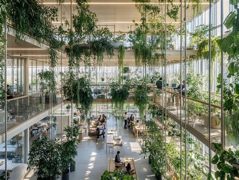 Measuring The Health Benefits Of Biophilic Design Inovation Web