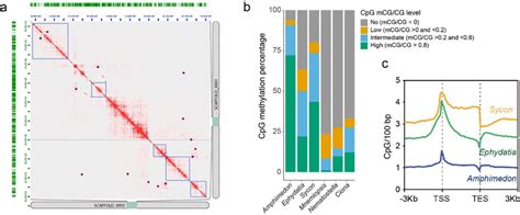 Gene Regulation A Hic Contacts Within Scaffold Chromosome 1 Of Our