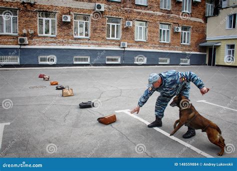Controladores De Perro Polic A Con Sus Perros Imagen De Archivo