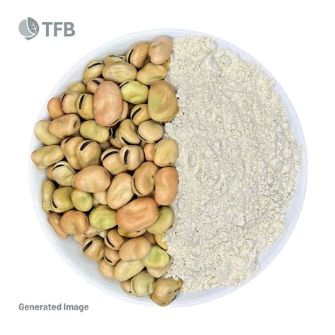 Faba Bean Flour Supplier Tfb Trading
