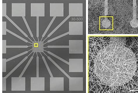 Experimental Brain Like Computing System More Accurate With Custom