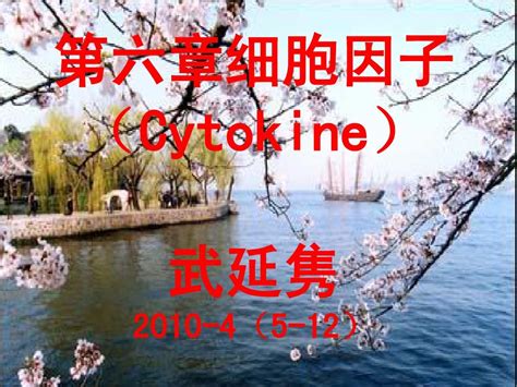 第六章细胞因子word文档在线阅读与下载无忧文档