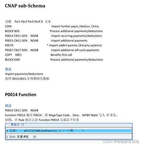 Sap Hr模块 Pe01 里 Schema Cn28中国支付类型详解＜转载＞sap Hr Schema Csdn博客