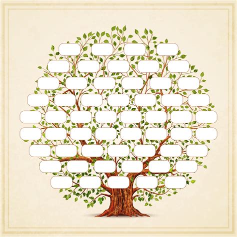 Szablon Drzewa Genealogicznego Genealogia Rodowód Styl Vintage Dla