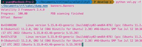 Linux新版内核下内存取证分析附CTF题 跳跳糖