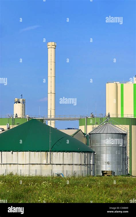 Biomass Plant Model