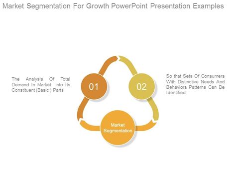 Market Segmentation For Growth Powerpoint Presentation Examples
