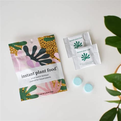 Houseplant Fertilizer Tablets Easy And Instant Plant Food