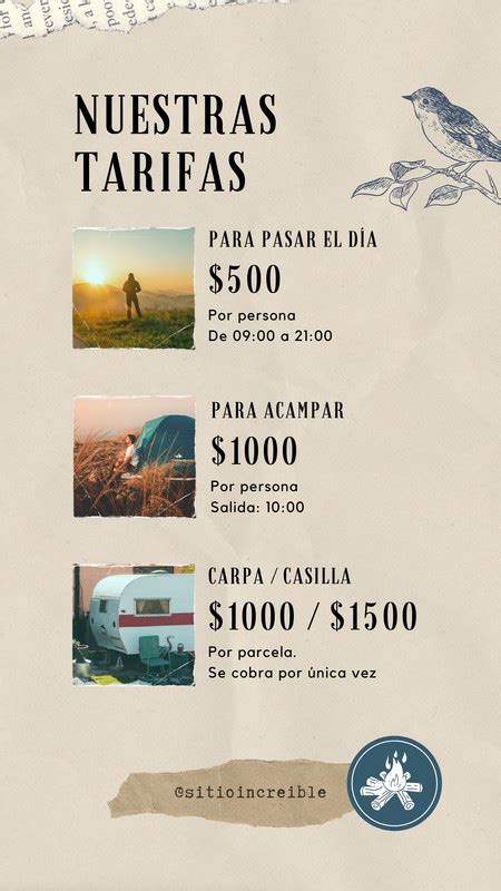 Explorá plantillas de lista de precios personalizables gratis Canva
