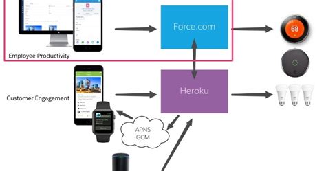Salesforcean Salesforce Developer Beginner Platform Development Basics
