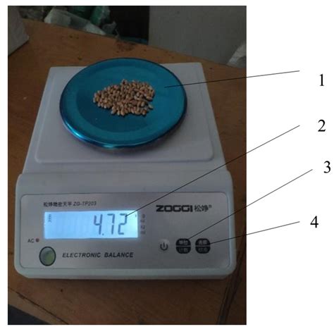 Agriculture Free Full Text Wheat Seed Phenotype Detection Device