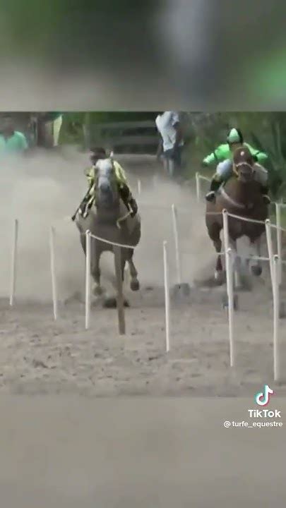 Macaco X Princesa Final Youtube