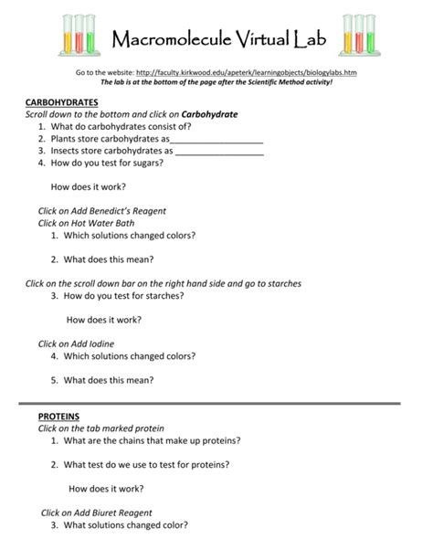 Macromolecule Virtual Lab Food Testing Worksheet