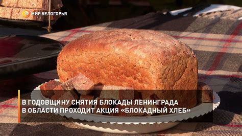В годовщину снятия блокады Ленинграда в области проходит акция