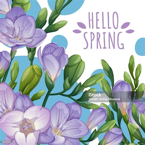 보라색 프리지아와 섬세한 녹지가 있는 정사각형 봄 카드 어머니의 날과 계절 축하 행사를 위한 꽃 디자인 배너 소셜 미디어에 적합합니다 벡터 일러스트레이션 3월에 대한 스톡