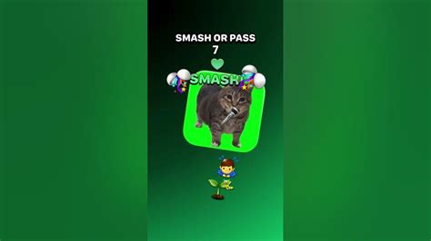 Ku Cing Uiiaiuiiau Nyanyi Youtube