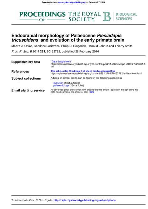 Pdf Endocranial Morphology Of Palaeocene Plesiadapis Tricuspidens And