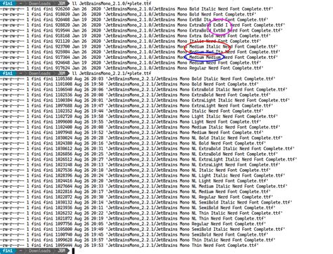 Monospace Font Rendering Issues In Alacritty With 221 But Not 210