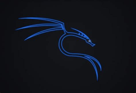 کالی لینوکس توزیع Linux مزایا کالی لینوکس چیست ؟ بررسی Kali Linux