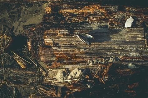 Image Libre Bois Planches De Bois Le Métal Les Murs Texture Modèle