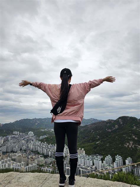 서울 등산 초보 독립문역 무악산 안산자락길 코스 네이버 블로그