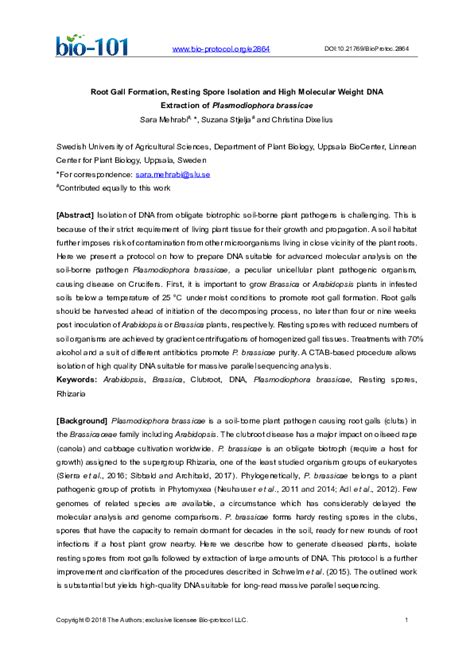 Pdf Root Gall Formation Resting Spore Isolation And High Molecular Weight Dna Extraction Of