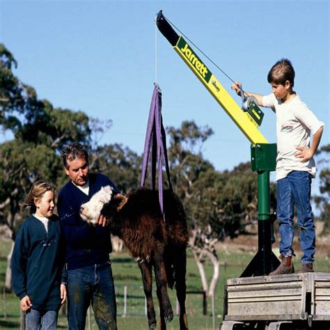 Jarrett Backsaver Crane Extended Boom 300kg