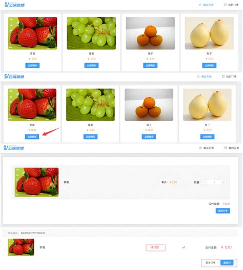 前端 探索网站支付系统的奥秘，从vue3和spring boot开始（入门级项目实战 在线教程）附赠项目源码！ 云端源想