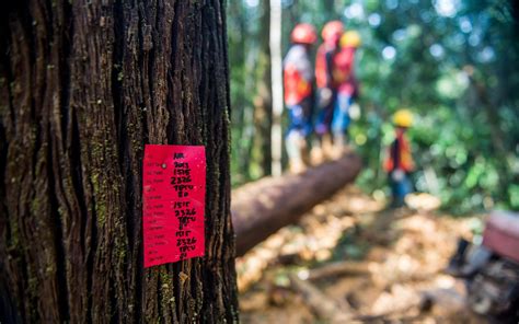 Ril C Reduce Impact Logging