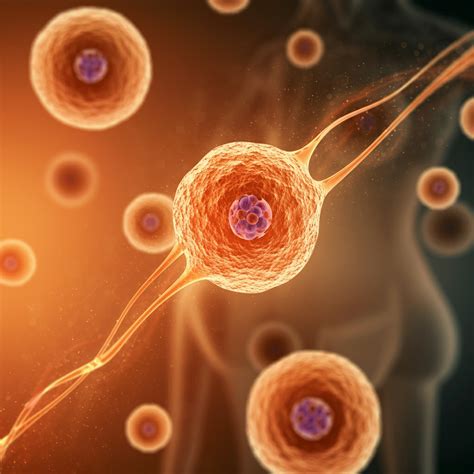 Regenerative Stem Cell Iv Treatments Vancouver Washington Okojie Wellness