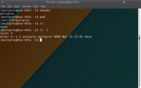 Setting Up Postgresql On Manjaro Linux DSWSIS DATA BIT