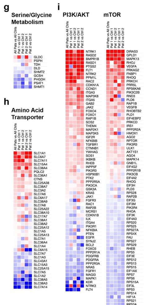 Help With Scrnaseq From Geo Database Rbioinformatics